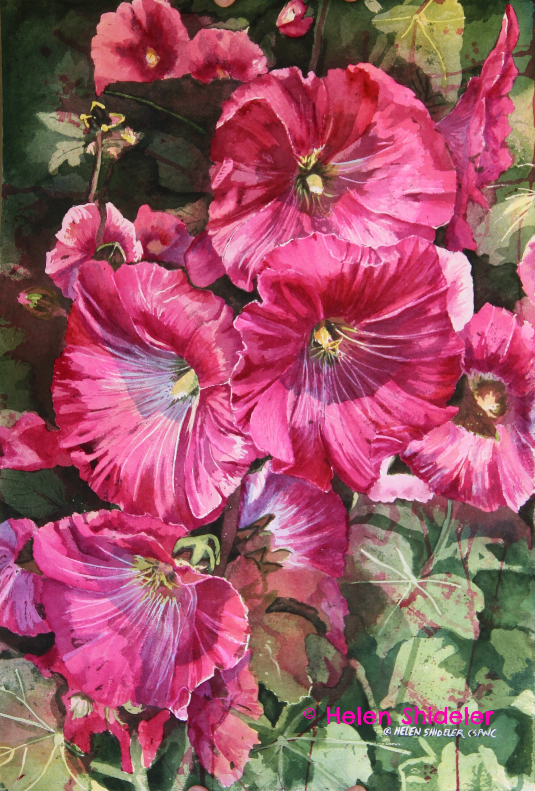 Magenta Magic - Helen Shideler